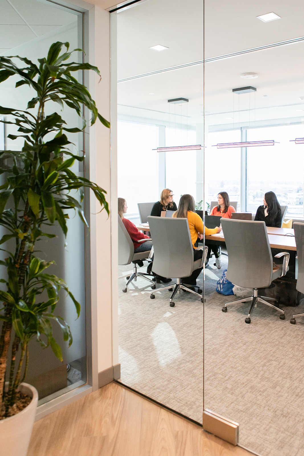 Chapman Consulting LLC